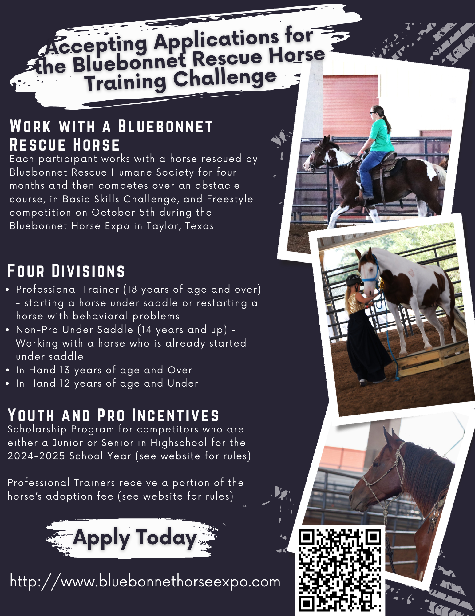 Apply for the 2025 Bluebonnet Rescue Horse Training Challenge – Bluebonnet Equine